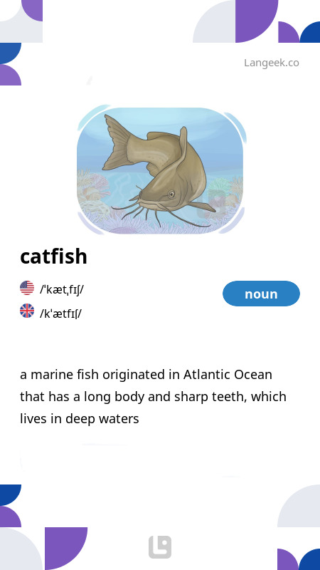 Definition & Meaning of "Catfish" | Picture Dictionary