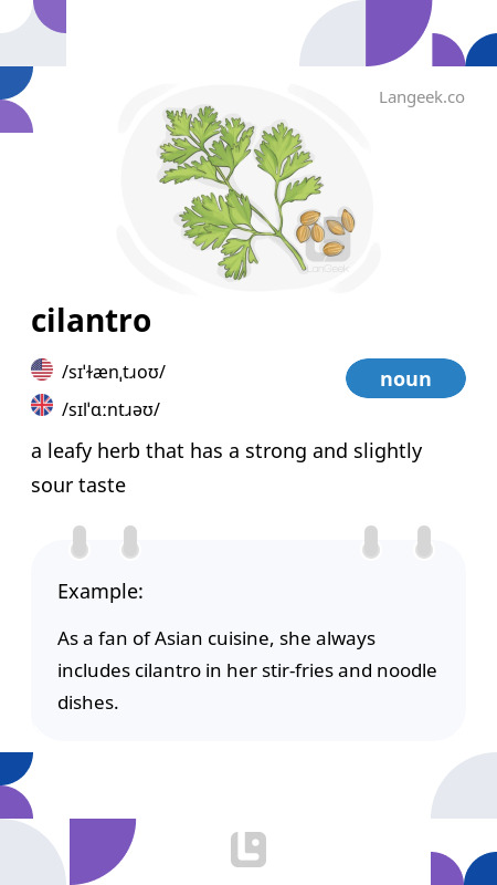 Definition & Meaning of "Cilantro" | Picture Dictionary