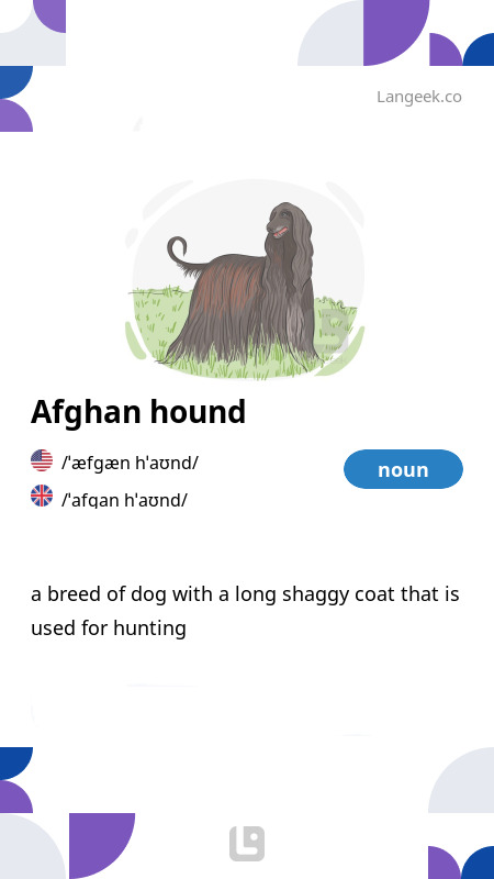 Definition & Meaning of "Afghan hound" | Picture Dictionary