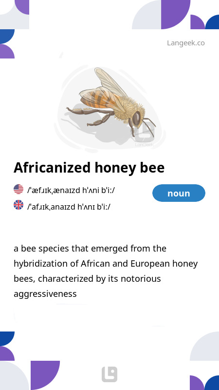 Definition & Meaning of "Africanized honey bee" | Picture Dictionary