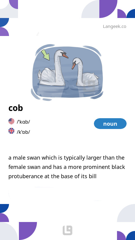 Definition & Meaning of "Cob" | Picture Dictionary
