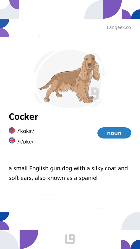 Definition & Meaning of "Cocker" | Picture Dictionary