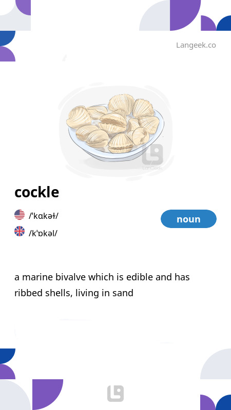 Definition & Meaning of "Cockle" | Picture Dictionary