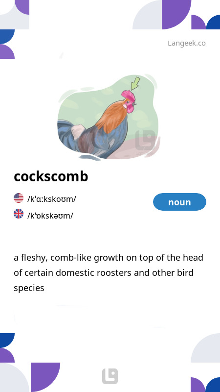 Definition & Meaning of "Cockscomb" | Picture Dictionary