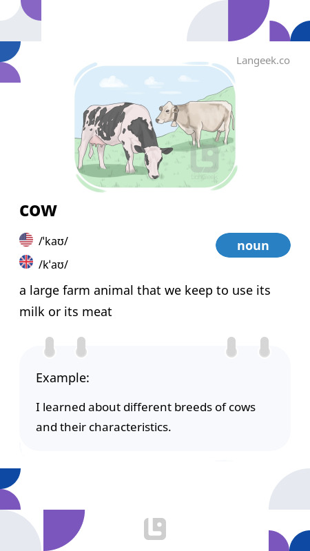 Definition & Meaning of "Cow" | Picture Dictionary