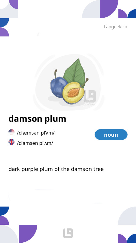Definition & Meaning of "Damson plum" | Picture Dictionary