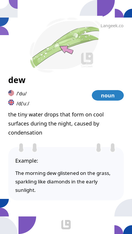 Definition & Meaning of "Dew" | Picture Dictionary