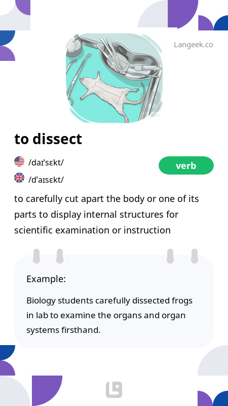 Definition & Meaning of "Dissect" | Picture Dictionary