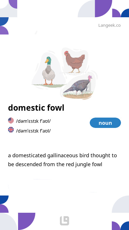 Definition & Meaning of "Domestic fowl" | Picture Dictionary