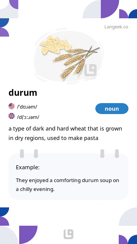 Definition & Meaning of "Durum" | Picture Dictionary