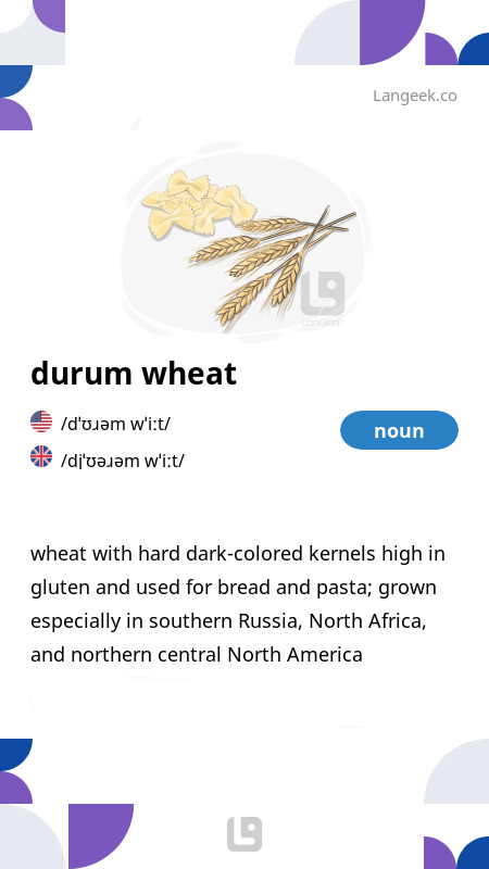 Definition & Meaning of "Durum wheat" | LanGeek