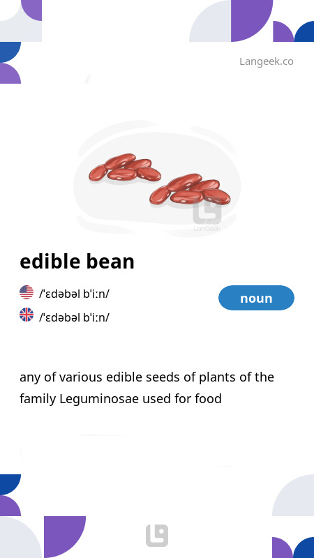 Definition & Meaning of "Edible bean" | Picture Dictionary