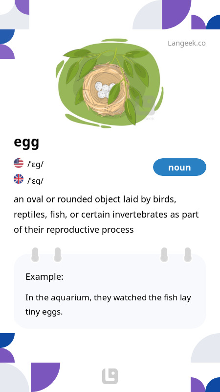Definition & Meaning of "Egg" | Picture Dictionary