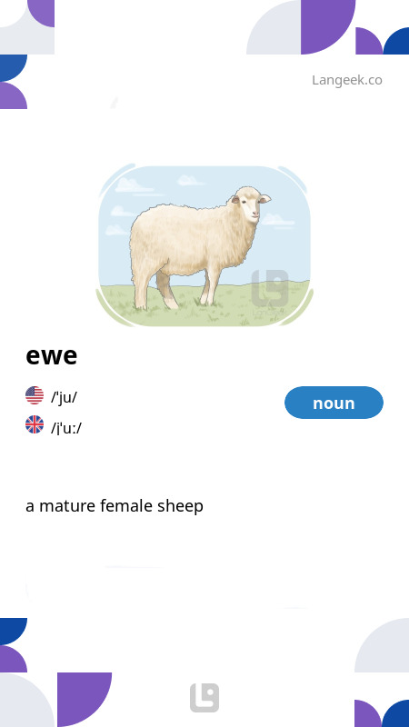 Definition & Meaning of "Ewe" | Picture Dictionary
