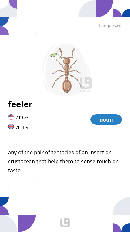 Definition & Meaning of "Feeler" | Picture Dictionary