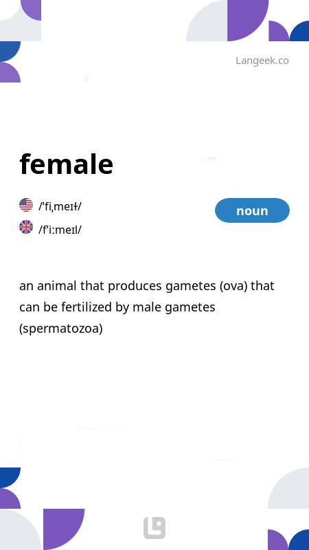Definition & Meaning of "Female" | LanGeek
