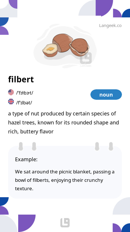 Definition & Meaning of "Filbert" | Picture Dictionary