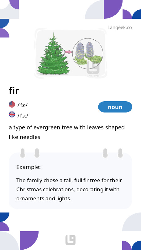 Definition & Meaning of "Fir" | Picture Dictionary