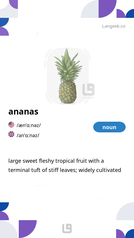 Definition & Meaning of "Ananas" | Picture Dictionary