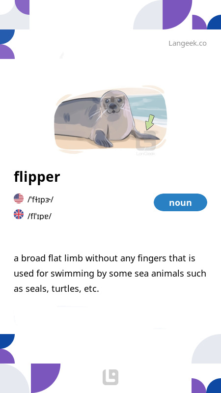 Definition & Meaning of "Flipper" | Picture Dictionary