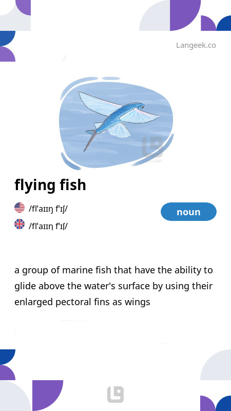 Definition & Meaning of "Flying fish" | LanGeek