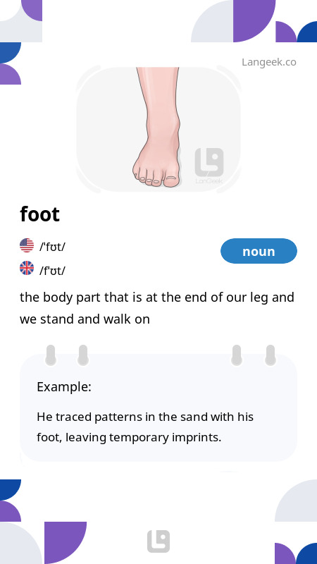Definition & Meaning of "Foot" | Picture Dictionary