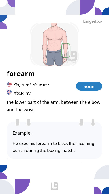 Definition & Meaning of "Forearm" | LanGeek