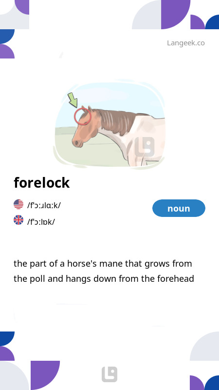 Definition & Meaning of "Forelock" | Picture Dictionary