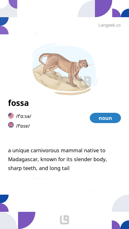 Definition & Meaning of "Fossa" | Picture Dictionary