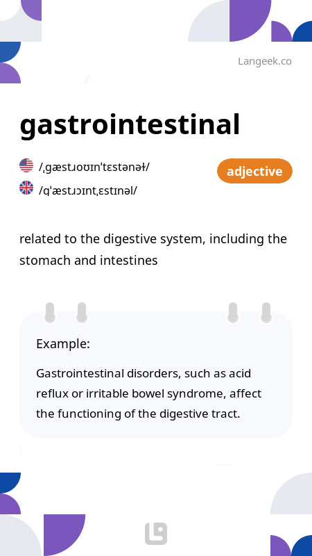 Definition & Meaning of "Gastrointestinal" | Picture Dictionary