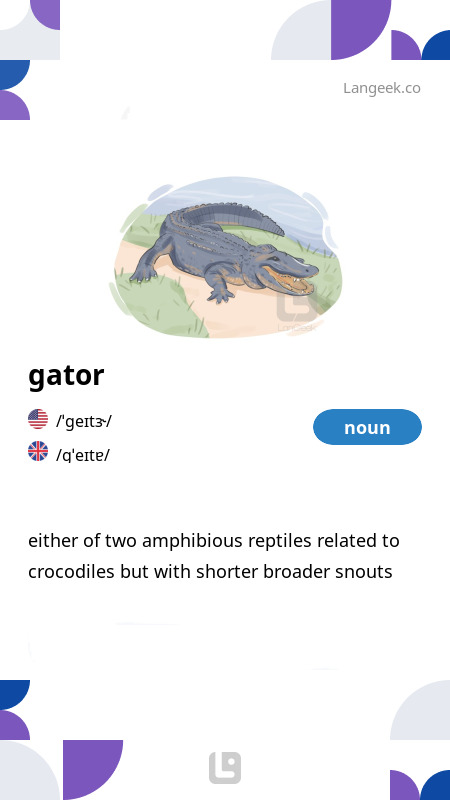 Definition & Meaning of "Gator" | LanGeek