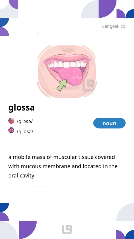 Definition & Meaning of "Glossa" | Picture Dictionary