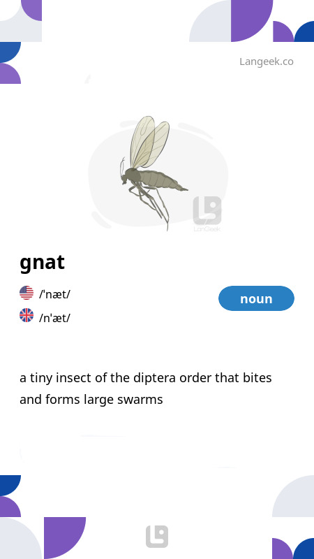 Definition & Meaning of "Gnat" | LanGeek