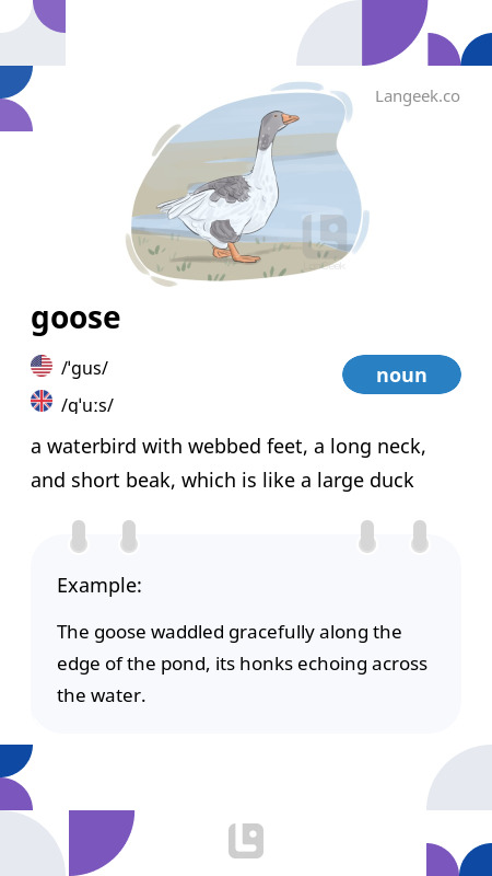 Definition & Meaning of "Goose" | Picture Dictionary