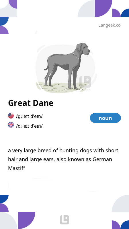 Definition & Meaning of "Great dane" | Picture Dictionary