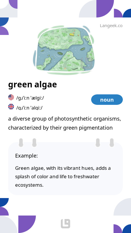 Definition & Meaning of "Green algae" | Picture Dictionary