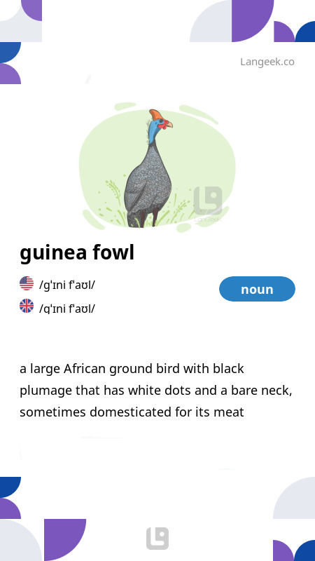 Definition & Meaning of "Guinea fowl" | LanGeek