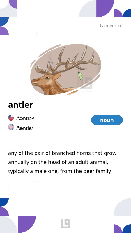 Antlers definition store