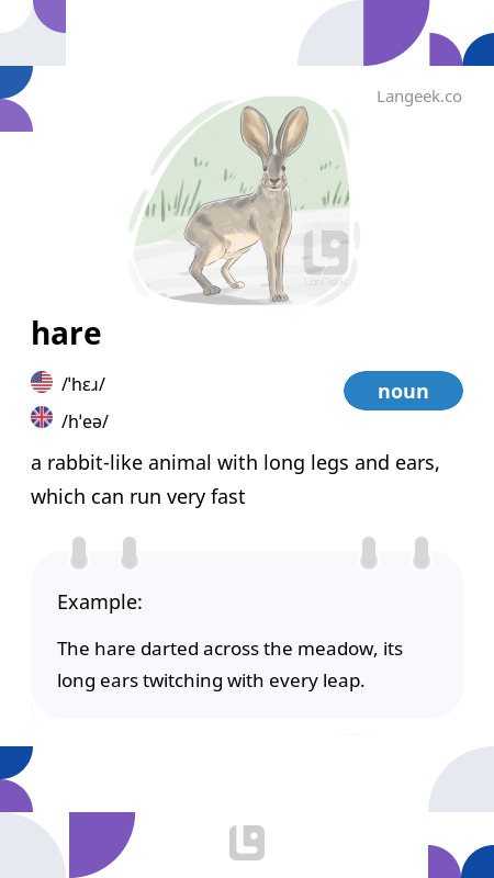 Definition & Meaning of "Hare" | Picture Dictionary