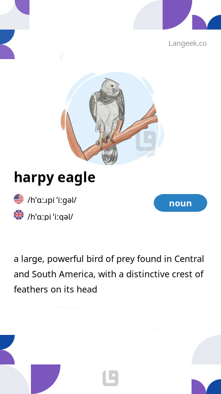 Definition & Meaning of "Harpy eagle" | Picture Dictionary