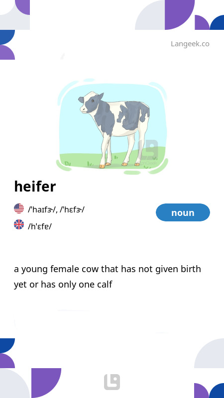 Definition & Meaning of "Heifer" | LanGeek