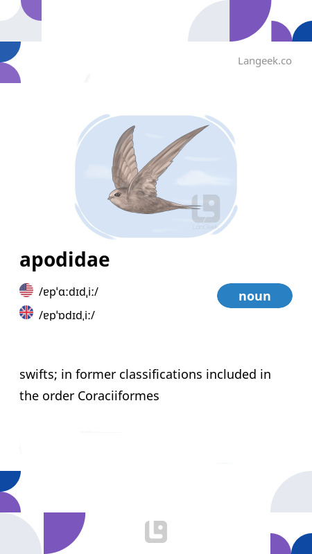 Definition & Meaning of "Apodidae" | LanGeek