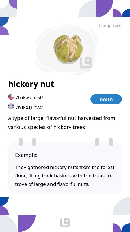 Definition & Meaning of "Hickory nut" | Picture Dictionary