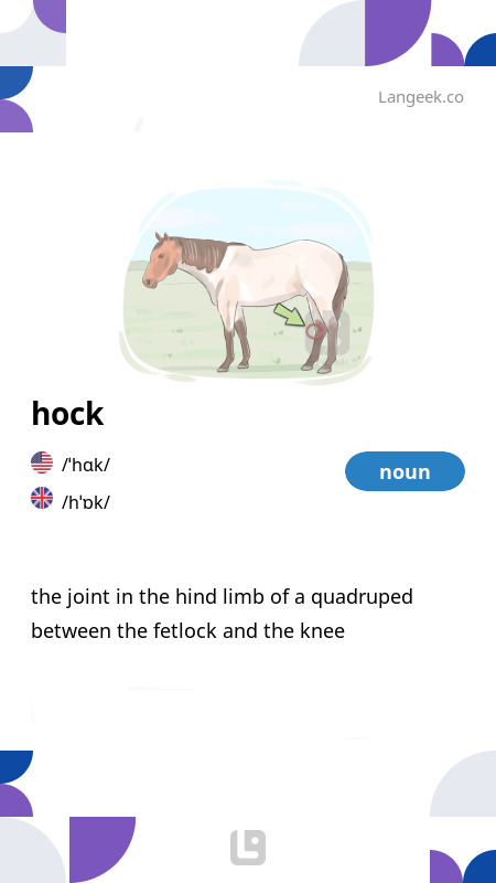 Definition & Meaning of "Hock" | Picture Dictionary