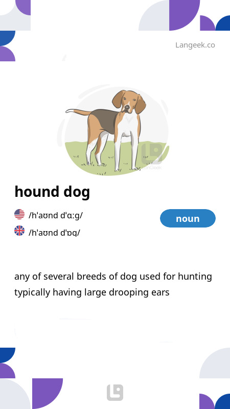 Definition & Meaning of "Hound dog" | Picture Dictionary