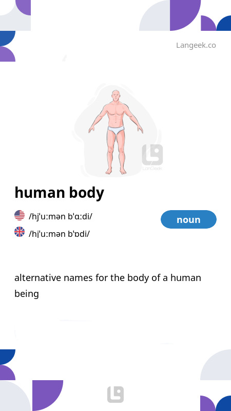 Definition & Meaning of "Human body" | Picture Dictionary