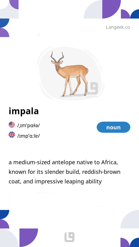 Definition & Meaning of "Impala" | Picture Dictionary
