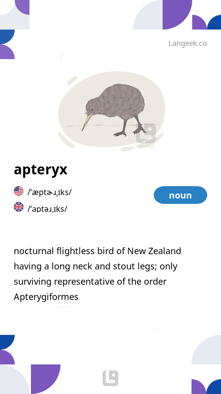 Definition & Meaning of "Apteryx" | Picture Dictionary