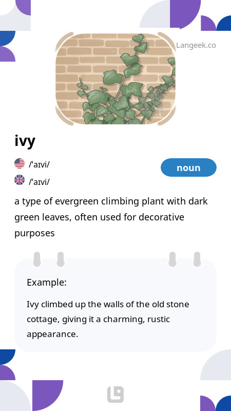 Definition & Meaning of "Ivy" | Picture Dictionary